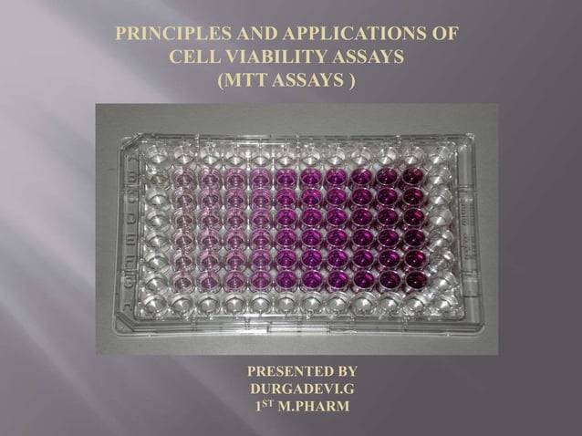 PRINCIPLES AND APPLICATIONS OF CELL VIABILITY ASSAY (MTT ASSAY) | PPT