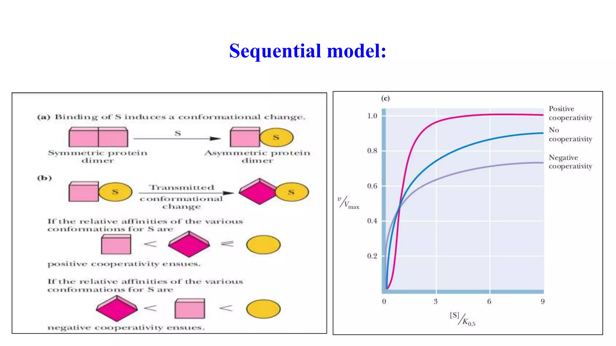 Allosteric and feedback regulation | PPTX