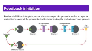 Allosteric and feedback regulation | PPTX