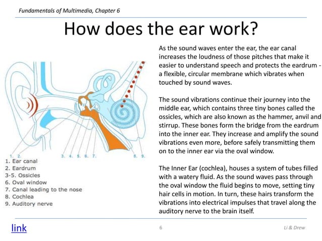 Basics-Od-Digital-Audio-Multimedia-Technologies-Unit-III.ppt | Digital Audio | Computer Software ...