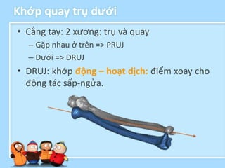 Mất vững khớp quay trụ dưới | PPTX