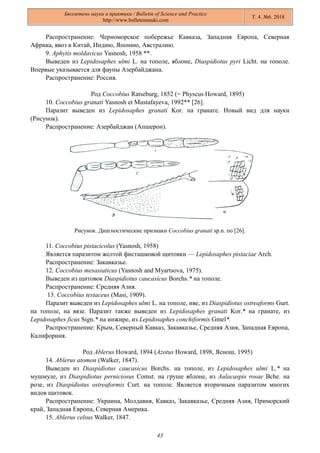 Mustafayeva, G. (2018). Aphelinids (Hymenoptera: Aphelinidae ...