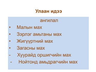 Mua idee undaa | PPTX