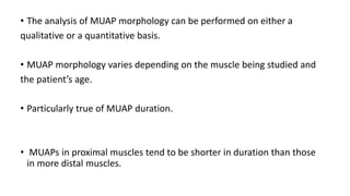 Nerve neurosurgery conduction velocity.pptx