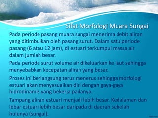 Muara Sungai | PPTX