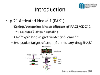 Mua research day_kyle_dammann | PPT