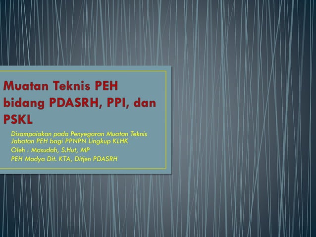 Muatan Teknis PEH bidang PDASRH, PPI,PSKL.pdf