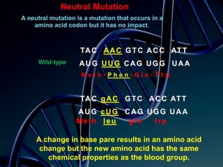Muatation | PPTX | Genetics | Science