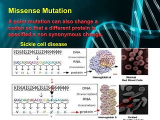Muatation | PPTX | Genetics | Science