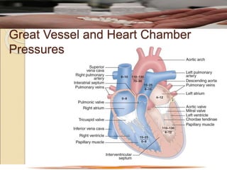 Mubashar A choudry MD - What is Cardiovascular and What are ...