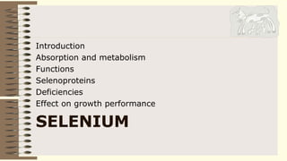 Mubasher, M Phil synoses seminar | PPT