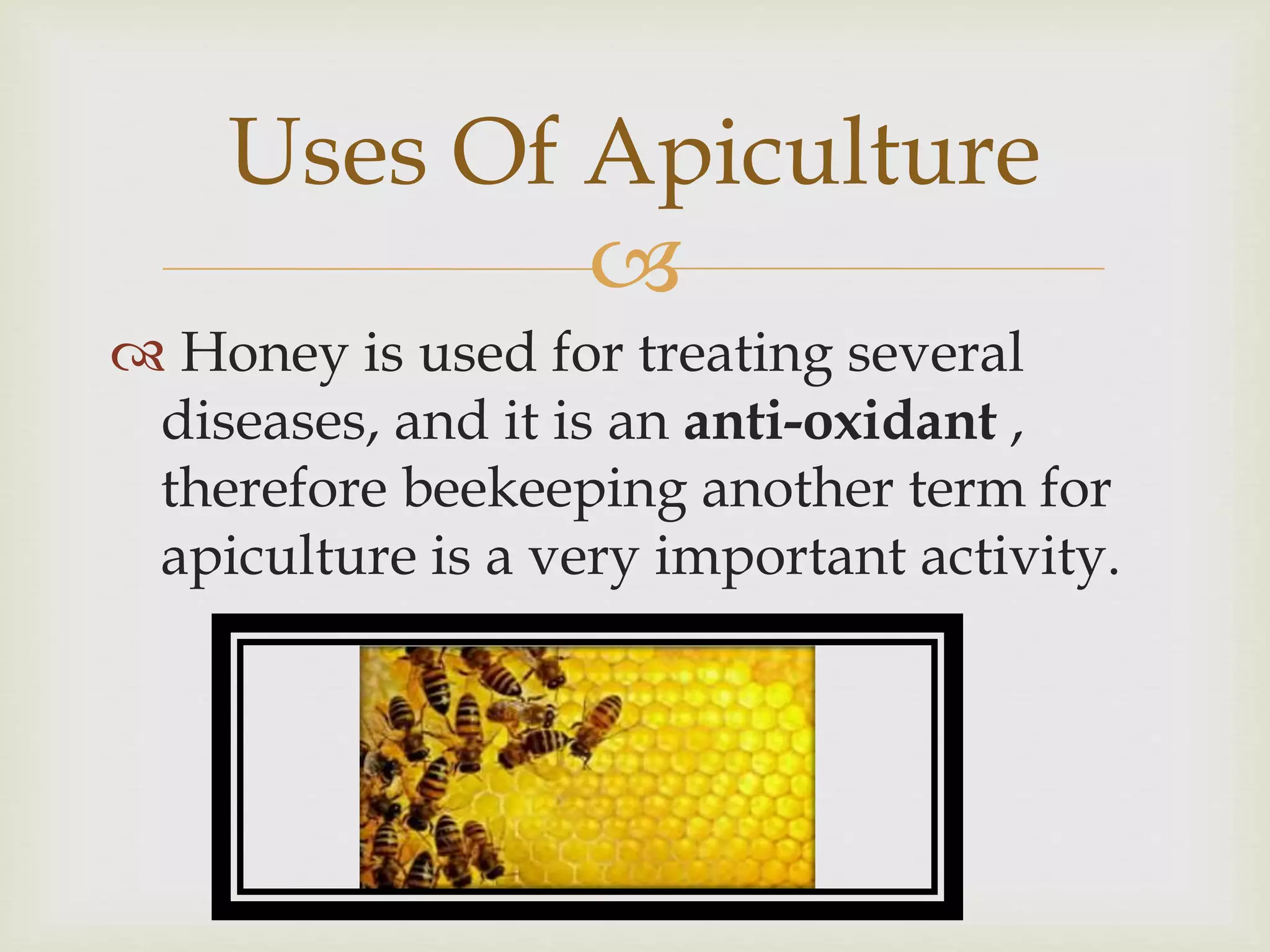 importance of apiculture | PPTX