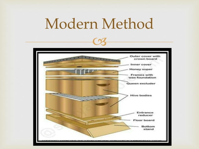 importance of apiculture | PPTX