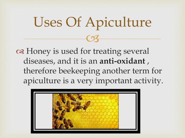importance of apiculture | PPTX