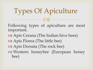 importance of apiculture | PPTX