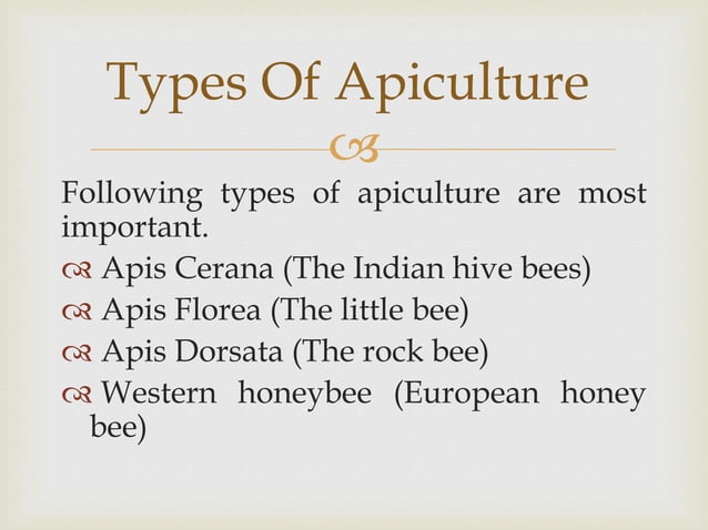importance of apiculture | PPTX