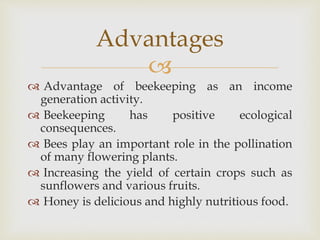 importance of apiculture | PPTX