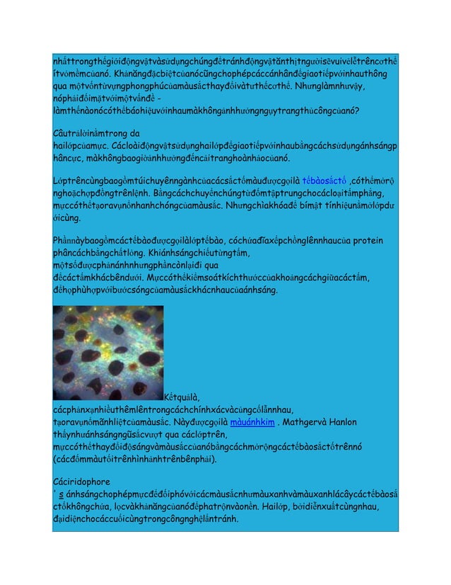 Muc gjao tjep ntn | PDF