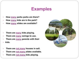 Quantifiers: Much and Many | PPTX