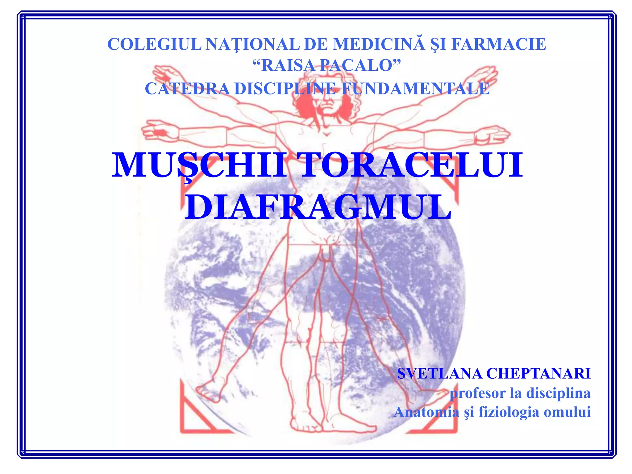 Muşchii toracelui.diafragmul. | PPTX