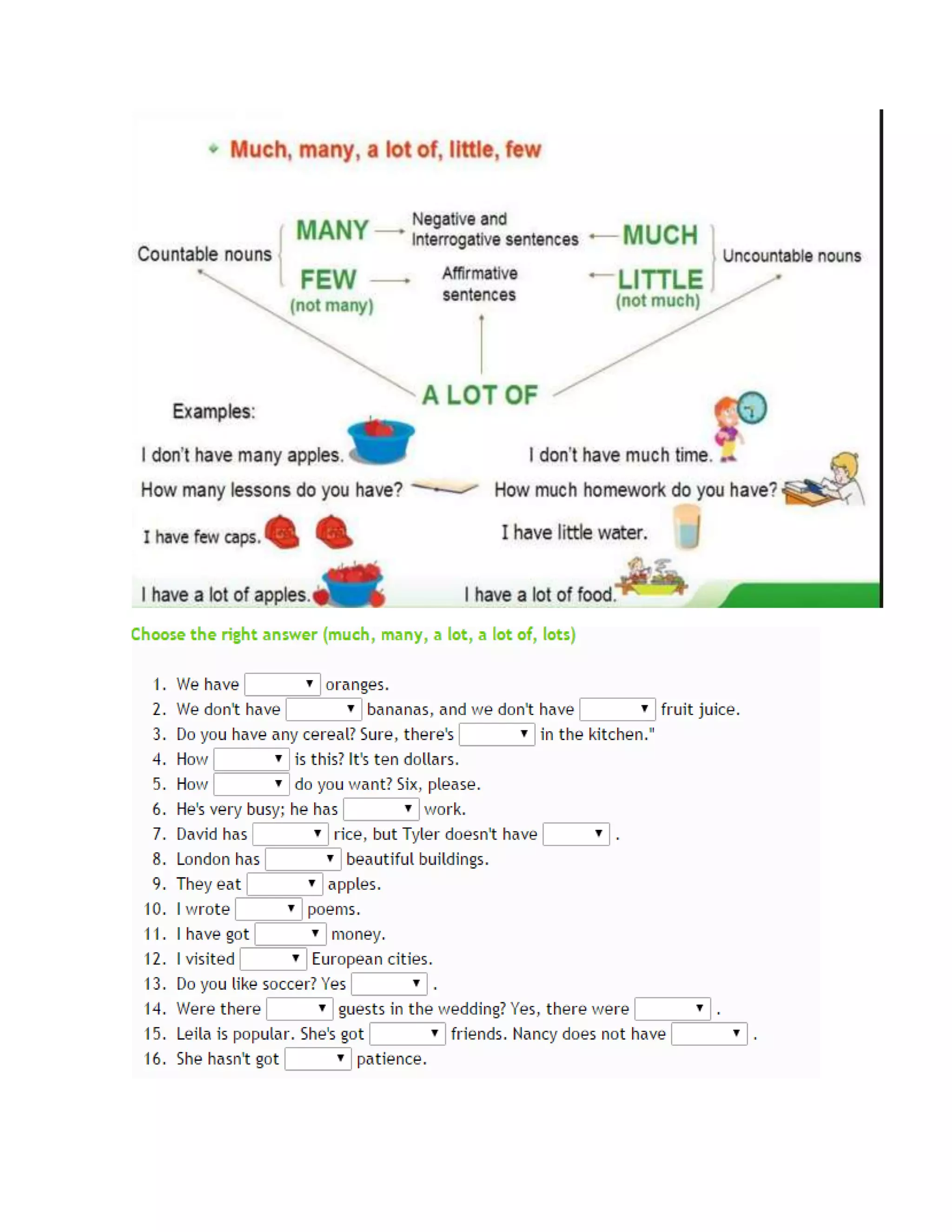 Quantifiers :Much, many, a lot of , not very much | DOCX