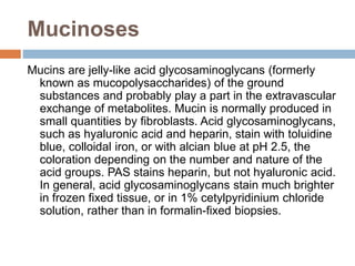 Mucinoses | PPTX | Skin and Dermatology | Diseases and Conditions