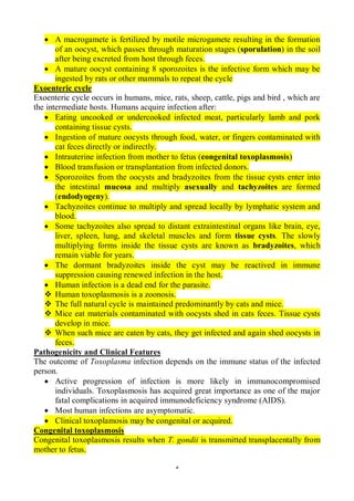 Toxoplasma gondii | PDF | Digestive Disorders | Diseases and Conditions