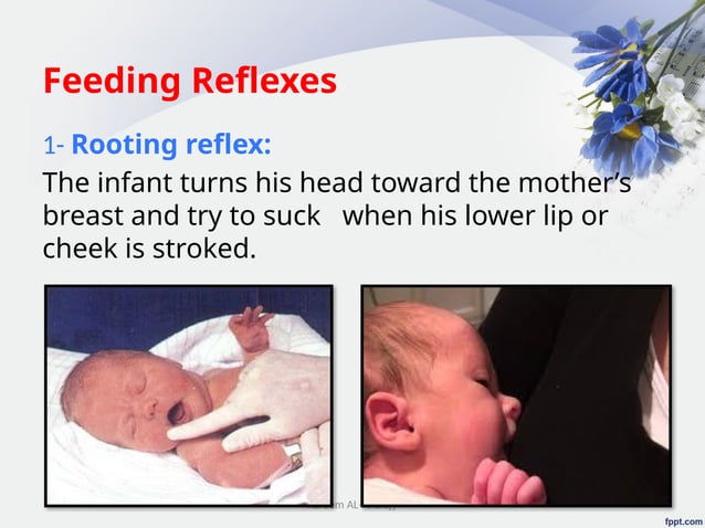 REFLEXES TYPES LEVELS TESTING PROCEDURES.pptx