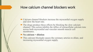 MUCLecture_presentation of calcium channel | PPTX