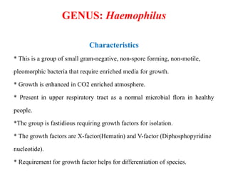 Haemophilus influenzae generalidades e impacto clínico | PPT