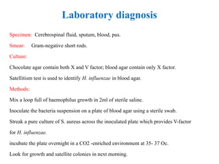 Haemophilus influenzae generalidades e impacto clínico | PPT