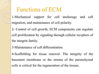 MUCLecture_2022_82136961.pptx