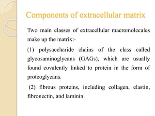 MUCLecture_2022_82136961.pptx