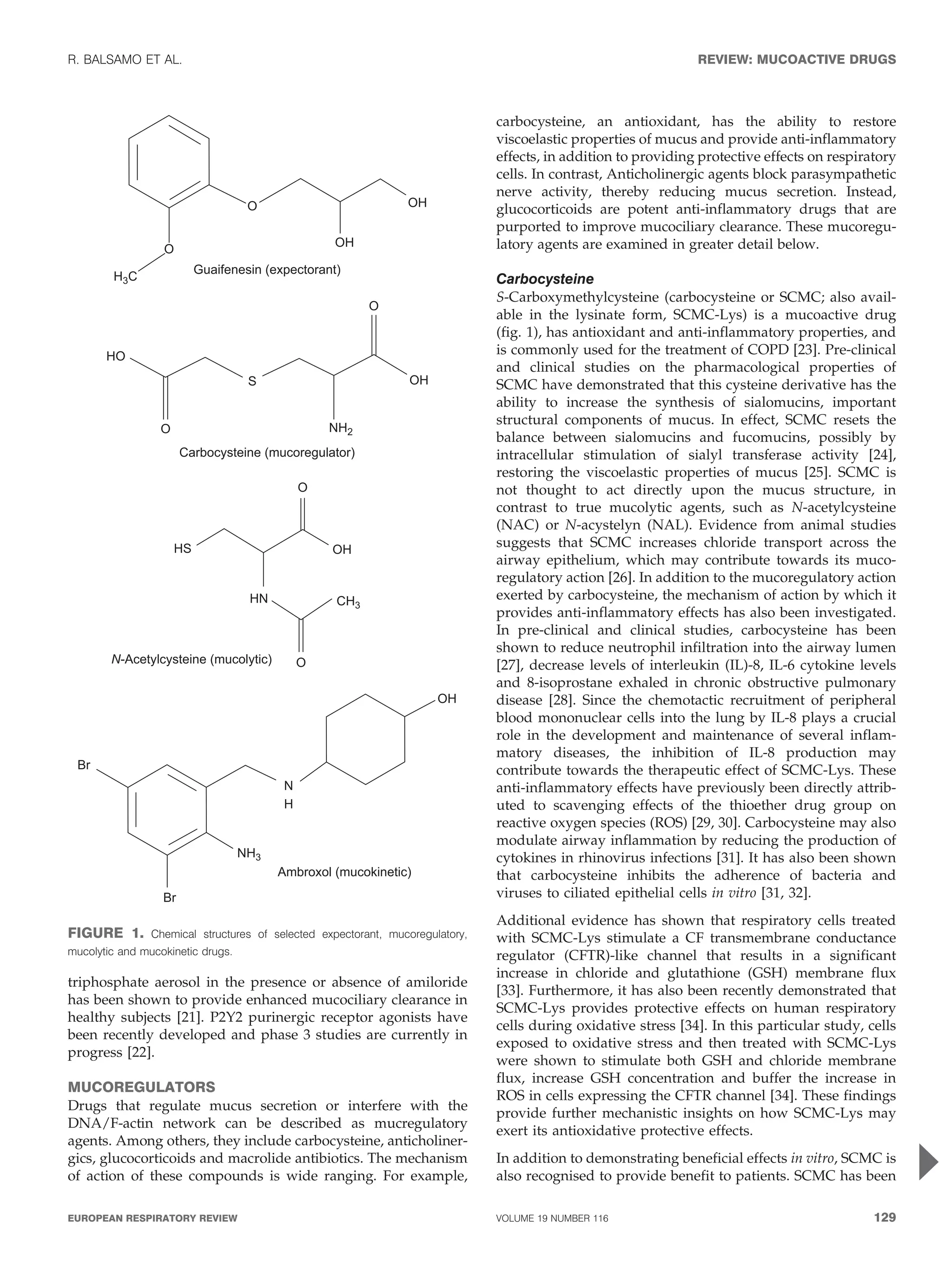 Mucoactive agents 2010 | PDF