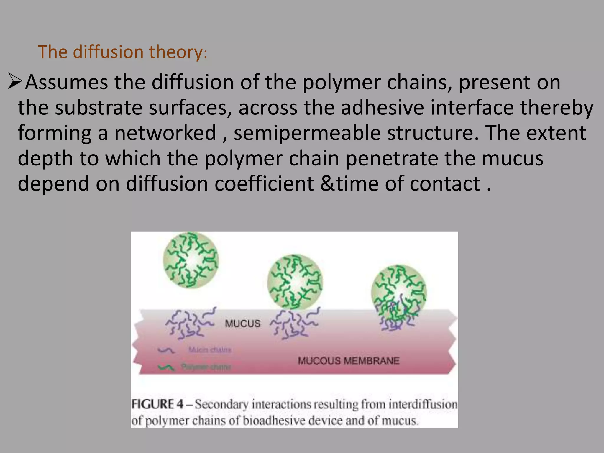 Mucoadhesive drug delivery system | PPTX