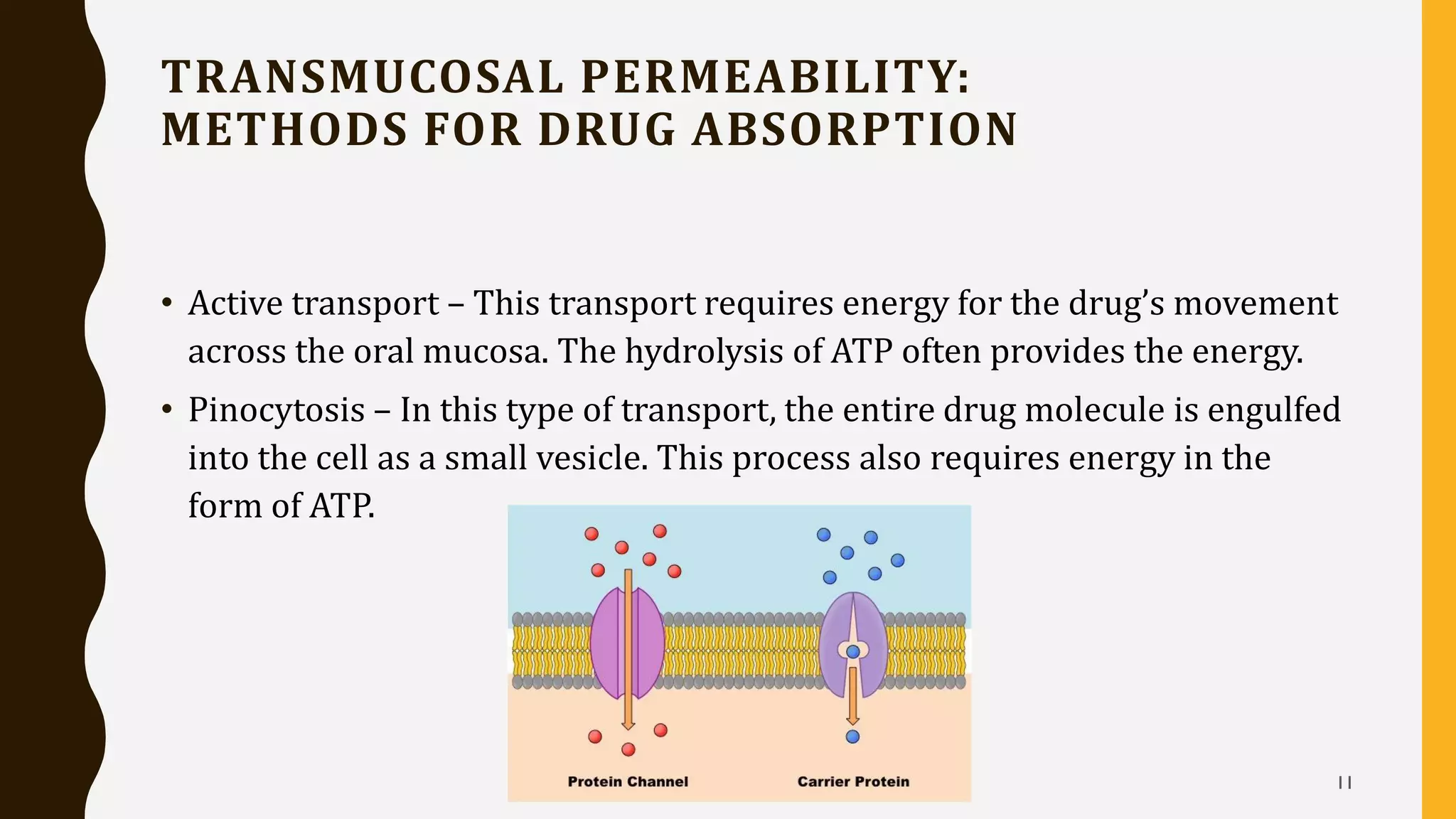 Mucoadhesive Drug Delivery System | PDF