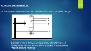 Mucoadhesive Drug Delivery system ppt | PPTX