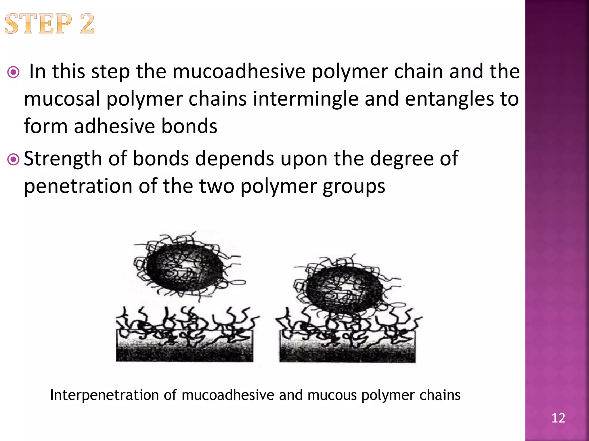 Bio/Mucoadhesive drug deivery system | PDF