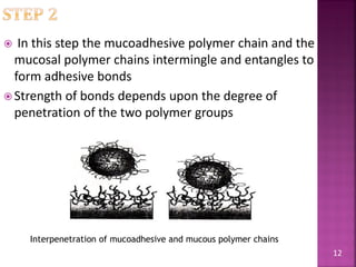 Bio/Mucoadhesive drug deivery system | PDF