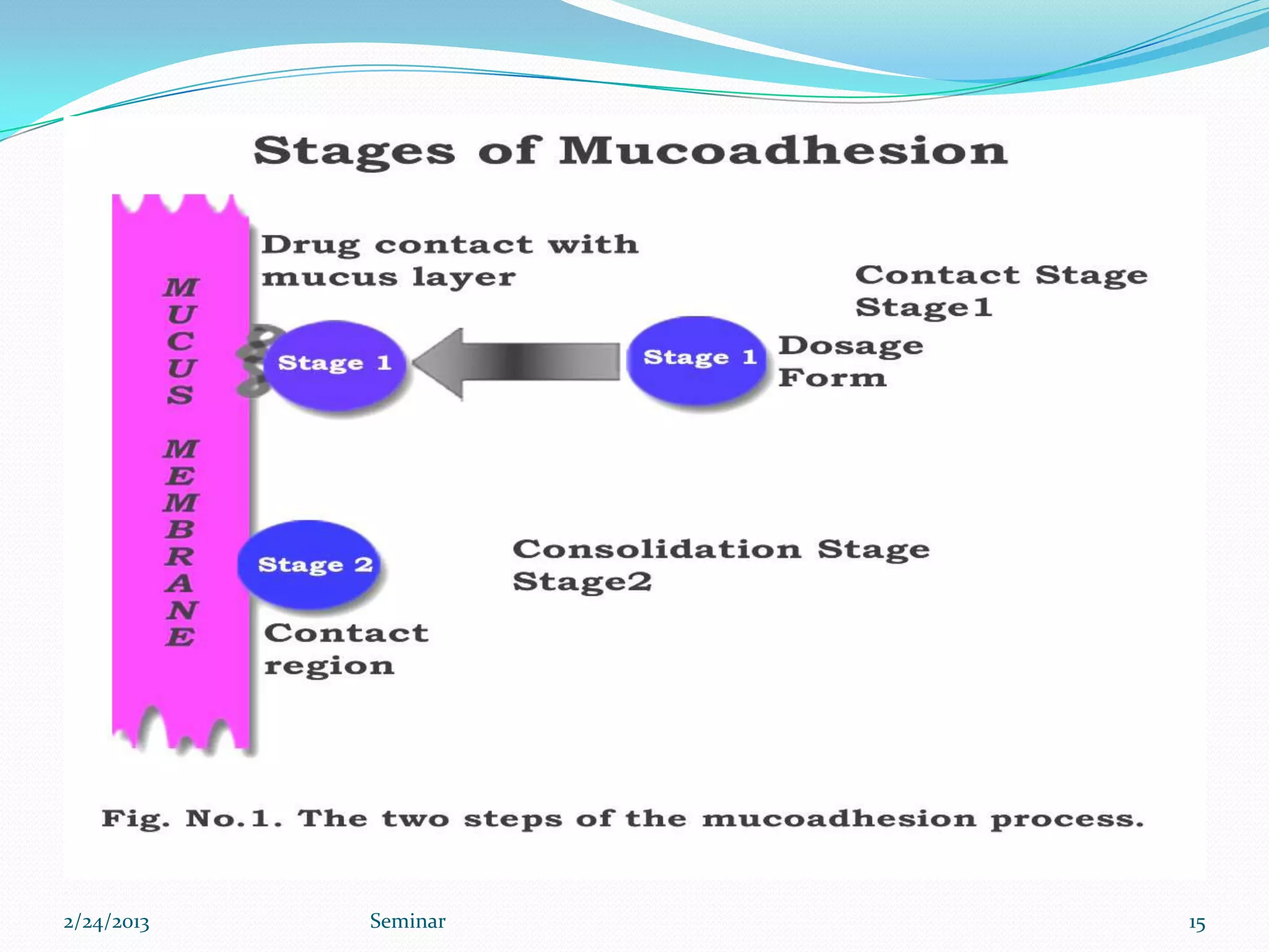 Mucoadhesive drug delivery system | PPTX
