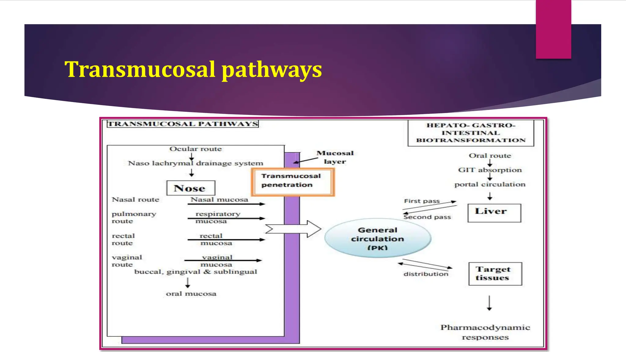 mucoadhesive drug delivery system.pptx