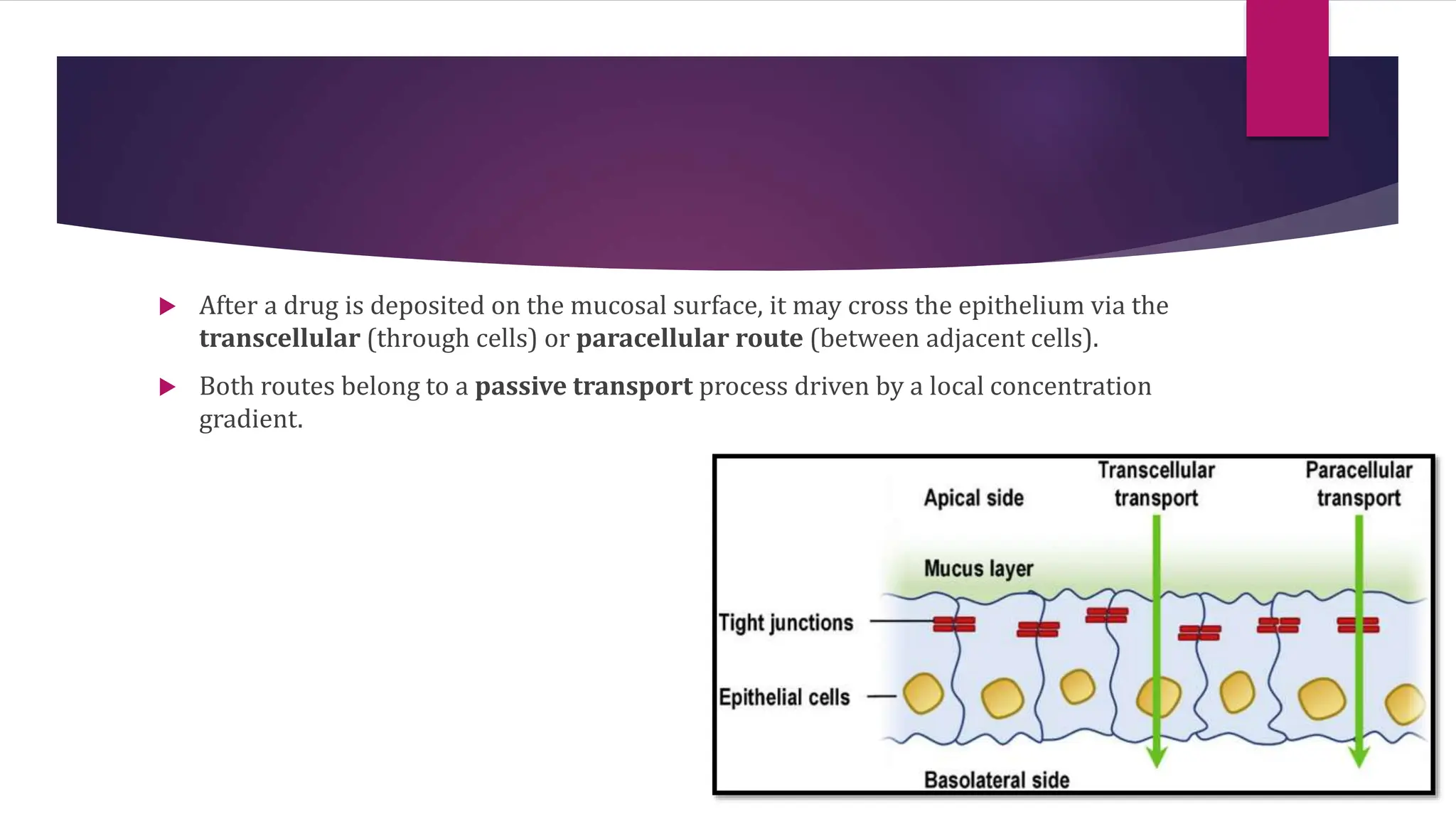 mucoadhesive drug delivery system.pptx
