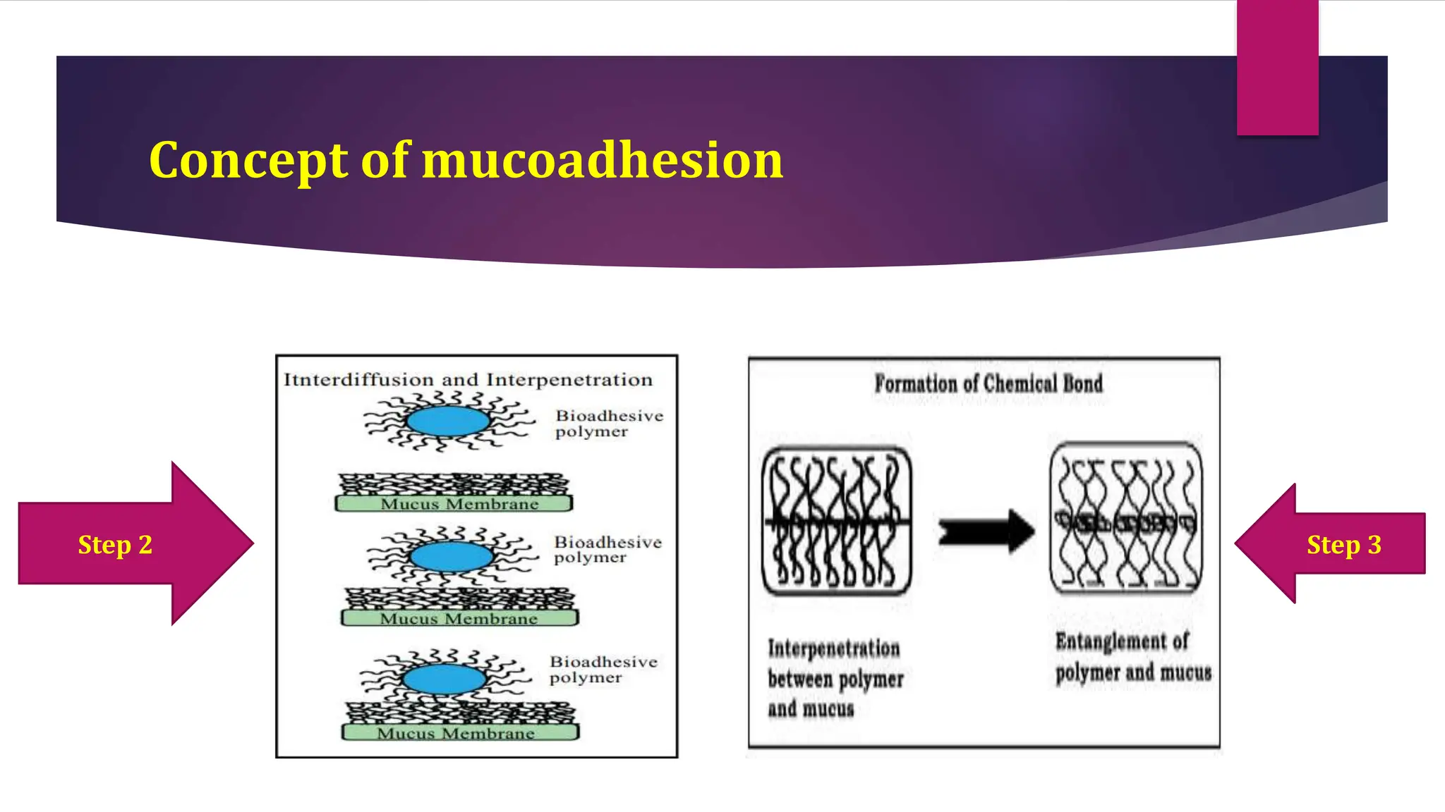 mucoadhesive drug delivery system.pptx