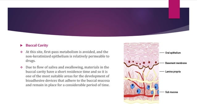 mucoadhesive drug delivery system.pptx
