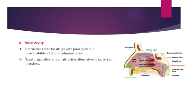 mucoadhesive drug delivery system.pptx