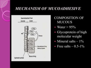 Mucoadhesive drug delivery system copy | PPT