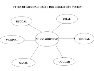 Mucoadhesive drug delivery system | PPT
