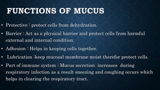 Mucoadhesive drug delivery system 1 | PPTX
