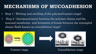 Mucoadhesive drug delivery system 1 | PPTX