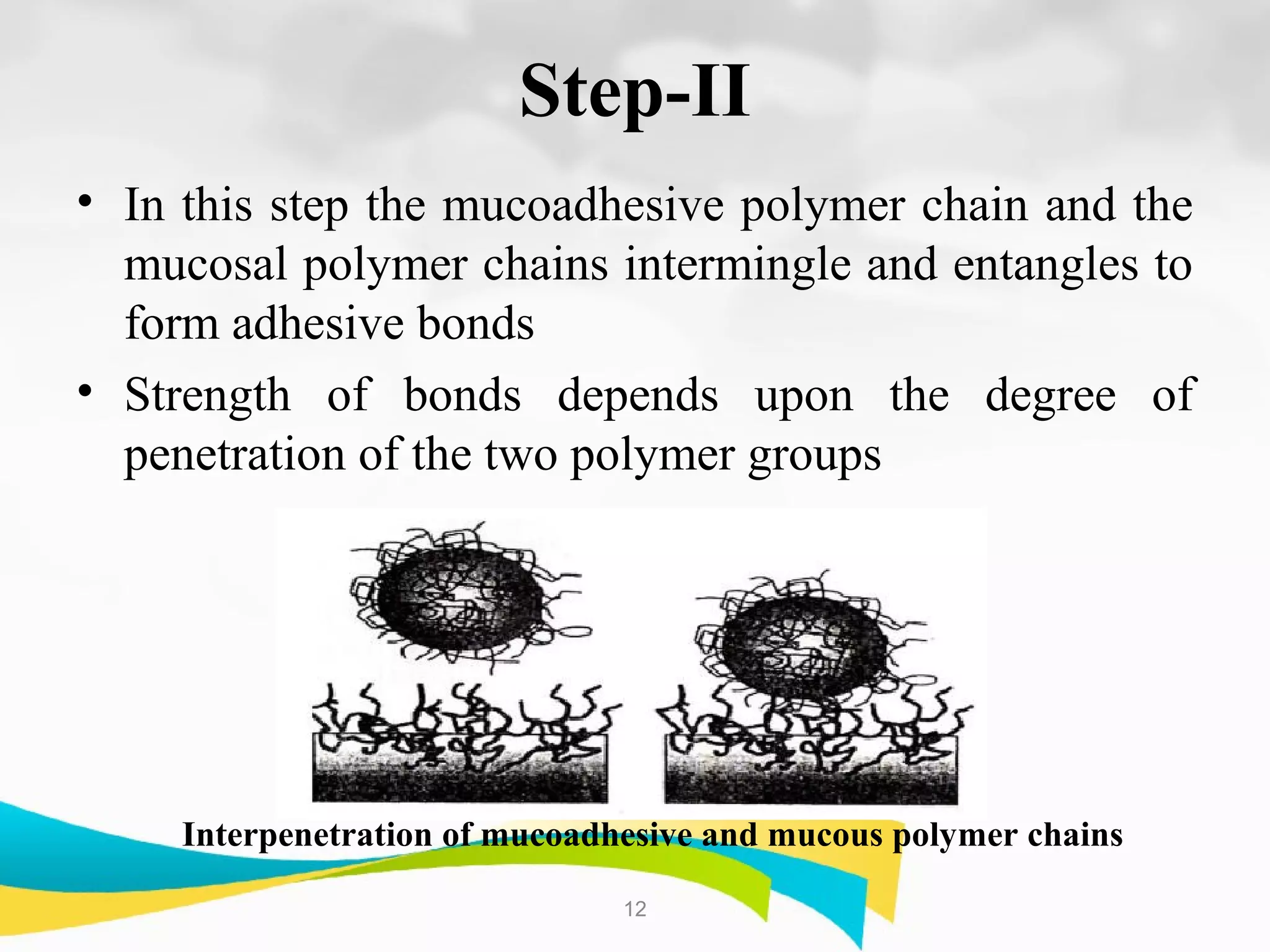 Mucoadhesive drug delivery system | PPT